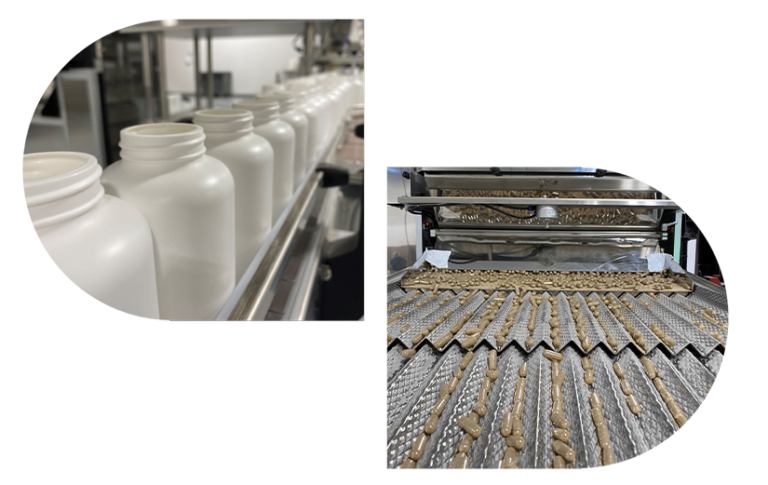 Home - Centaur Nutraceuticals