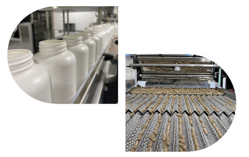 Home - Centaur Nutraceuticals